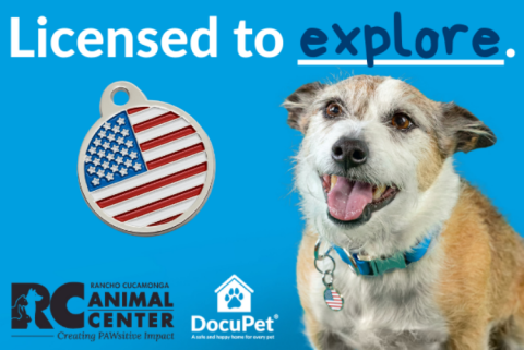 DocuPet Dog Licensing Now Available! | City of Rancho Cucamonga